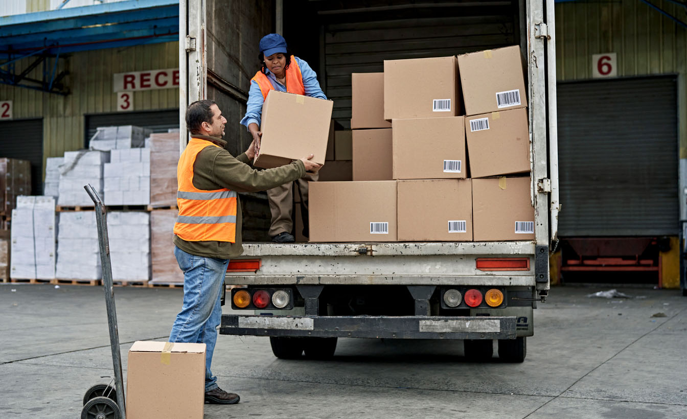 AI Omnicam - vehicle camera - side, rear, cargo | Motive